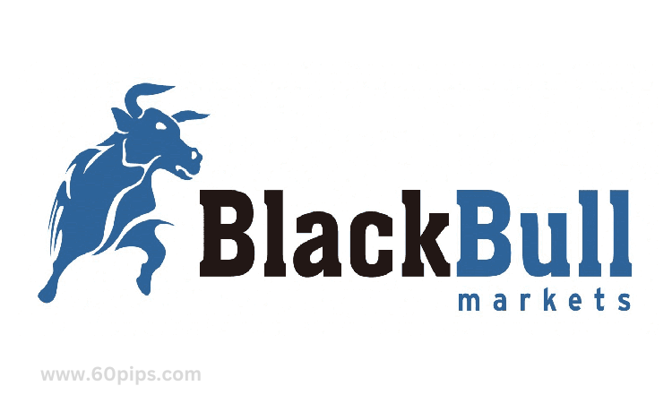 BlackBull Emerges as a Top Contender in Trading Account Comparison - 60pips