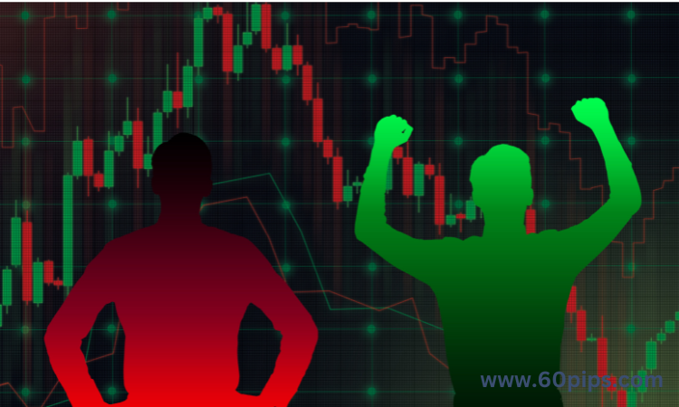 Exclusive Forex Signal Offer for IB Users : Boost Your Trading Success ...